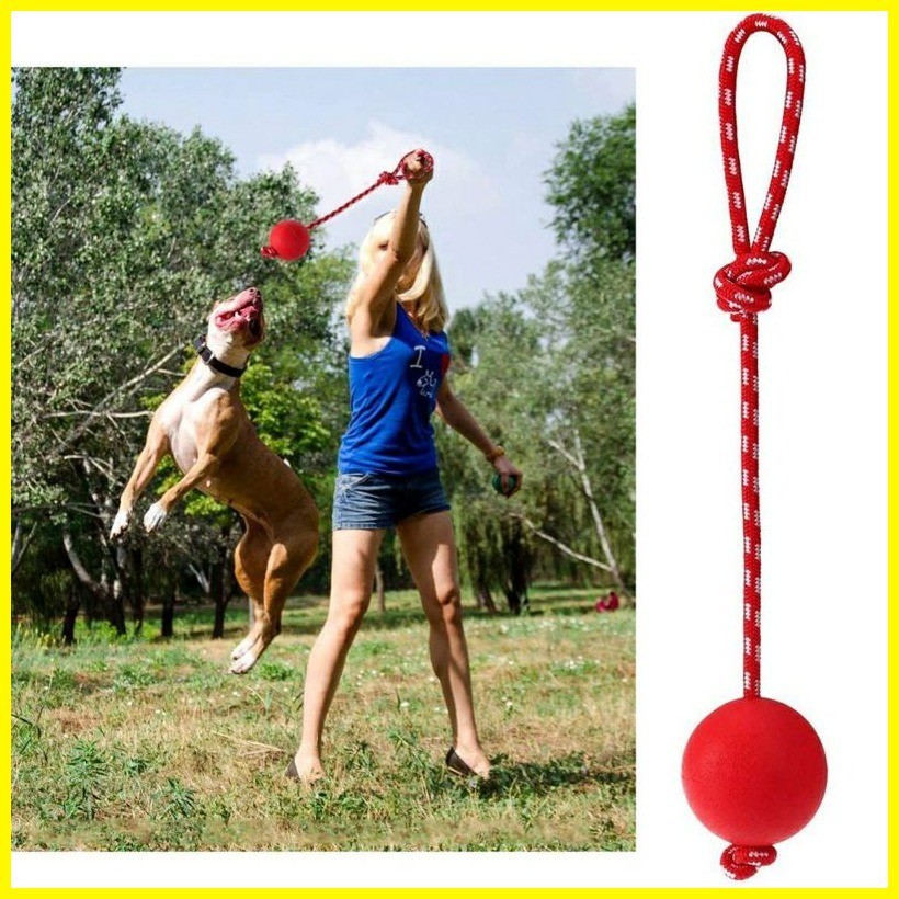 Dog Rubber Ball Pet Chewing Balls Dog Soft Balls Cleaning Teeth Toys ...