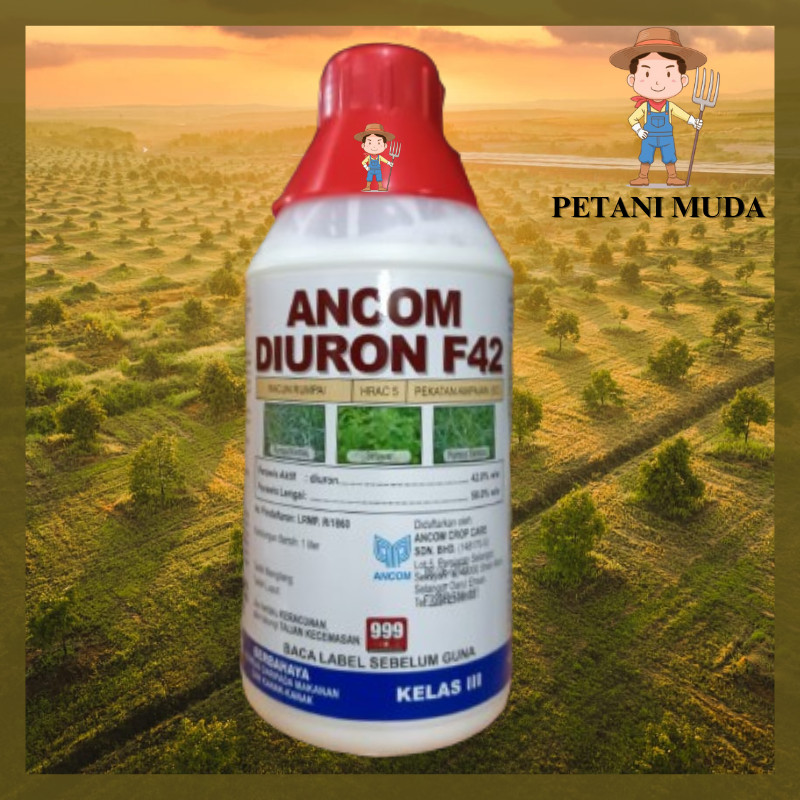 [ORIGINAL] 1L ANCOM DIURON F42 Racun Rumput Sambau Rumput Degil /Sambau ...