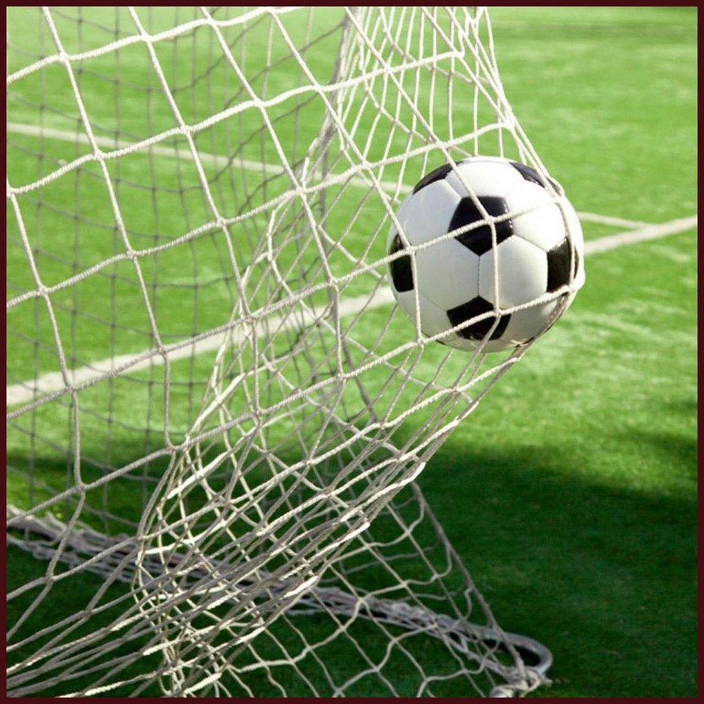 Soccer Training Nets Soccer Ball Hitting Netting for Backyard Heavy ...