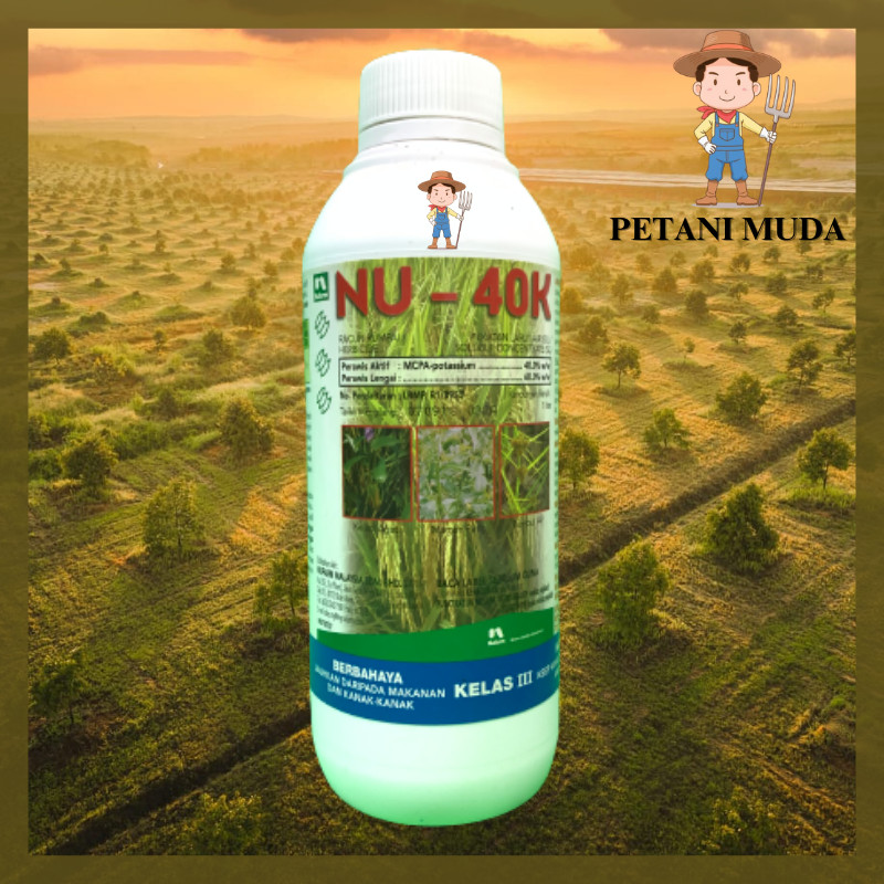 [ORIGINAL] 1L NU 40k (Sama Fezone Morsh) Keladi Agas Rumput Air Akar ...