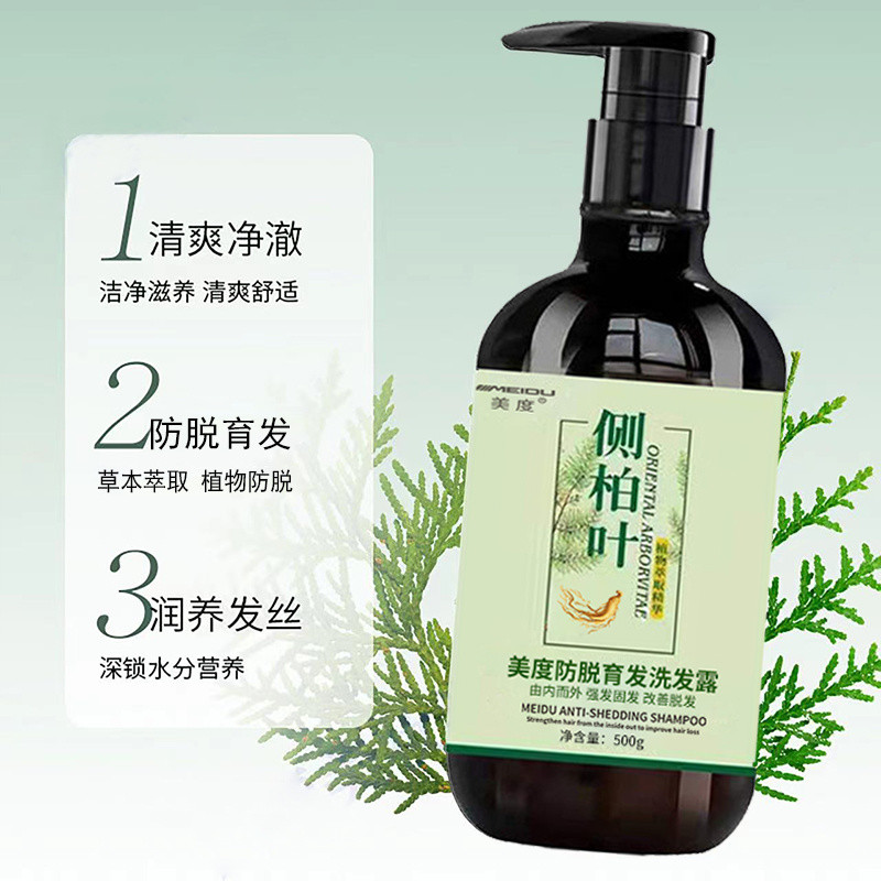 .Ten Thousand People Collection Side Cypress Leaf Plant Anti-Hair Loss ...