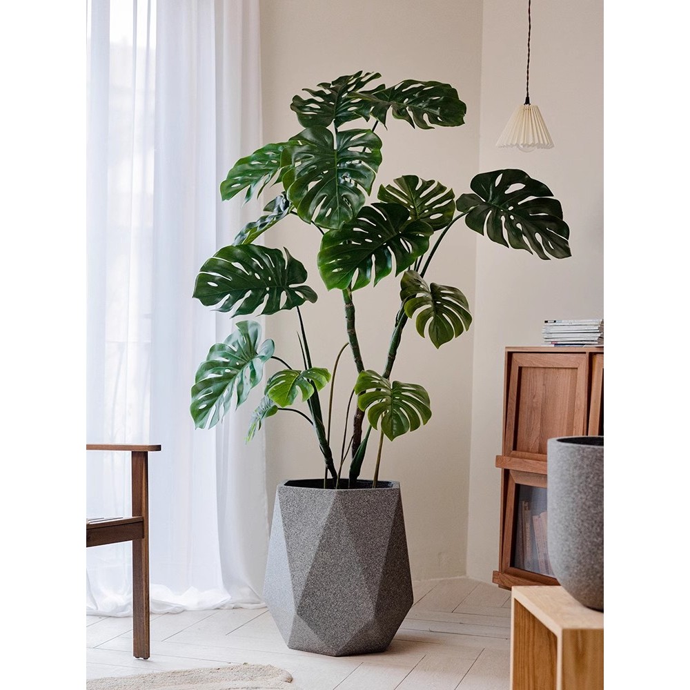 Pasu Bunga Bird of Paradise Diameter Besar Lantai Tumbuhan Ruang Tamu ...