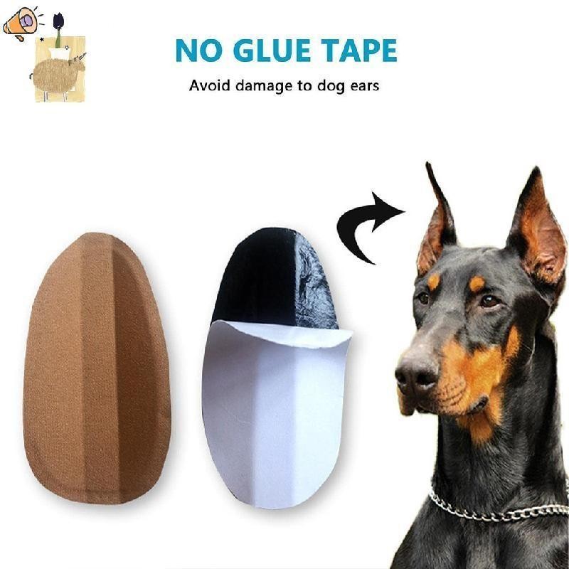 Dog Ear Posting Kit Fixed Dog Ear Stand Up Tool Supports Vertical Ear ...