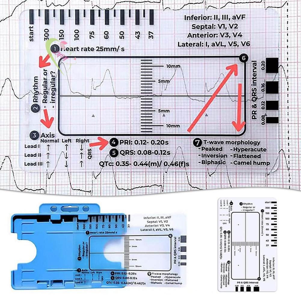 Small Electrocardiogram 7 Step Ruler Convenient Compact EKG Ruler For ...