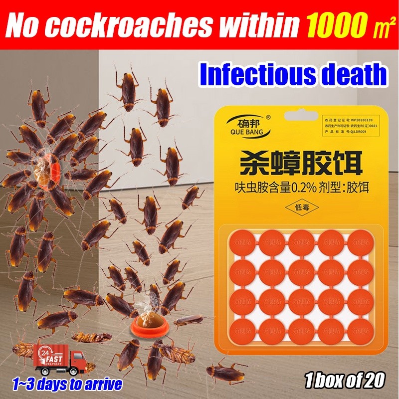 No cockroaches for 10 years cockroach killer ubat lipas rumah cockroach ...