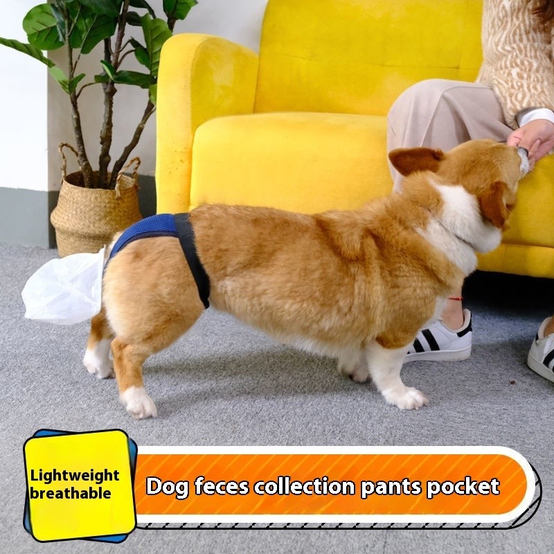 Dog Picker Dog Poop Picker Disposable Automatic Collection Bag Dung ...