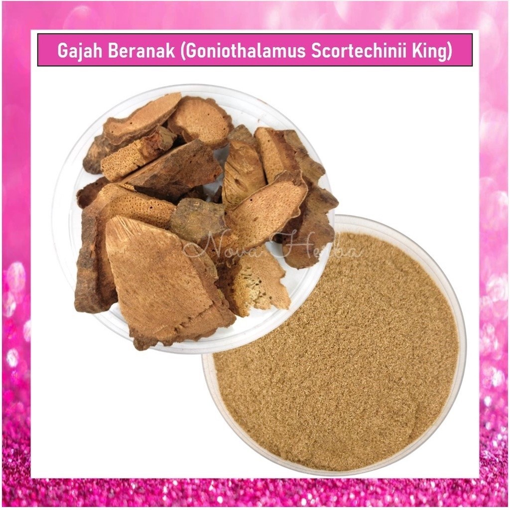 Herba Gajah Beranak (Goniothalamus Scortechinii King) Serbuk/ Racik ...