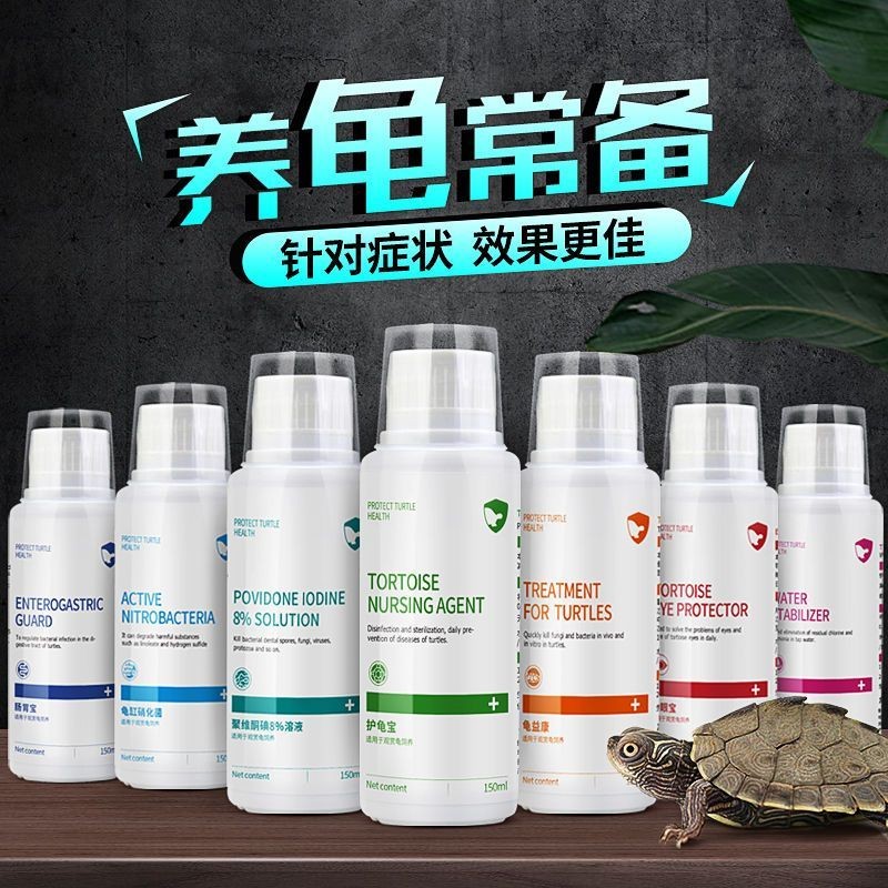 Tortoise Medicine Dedicated Tortoise Medicine Dedicated Tortoise ...
