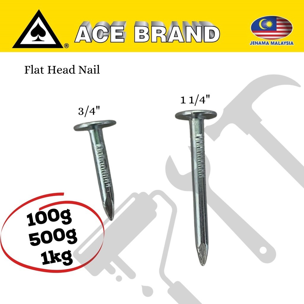 Flat Head Nail | Paku Nako | Paku Kepala Besar｜Umbrella Head Roofing ...