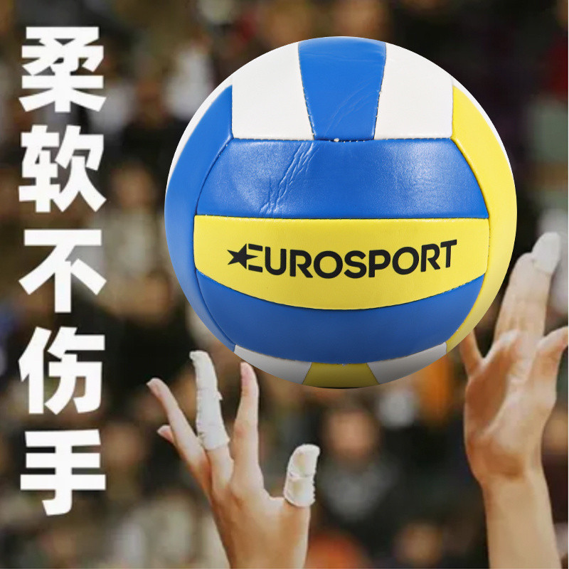 Genuine Volleyball No. 5 Special Exam for Middle School Entrance ...