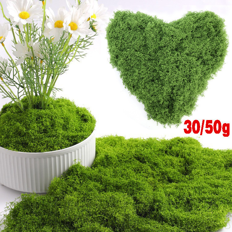 30/50g DIY Artificial Moss Simulation - Lawn Bonsai Paving Decorative ...