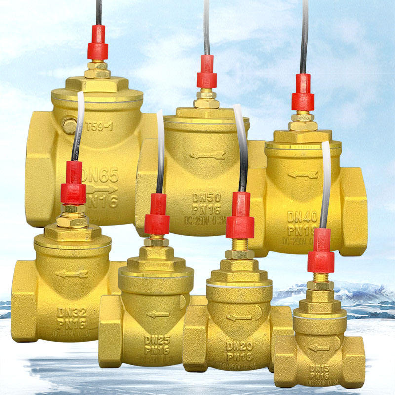 Air Energy Large Flow All Copper Check-Way Valve Baffle Type Water Flow ...