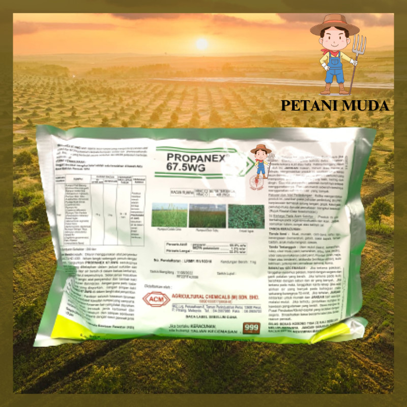 [ORIGINAL] 1KG PROPANEX 67.5WG ACM propanil MCPA potassium Racun Rumput ...