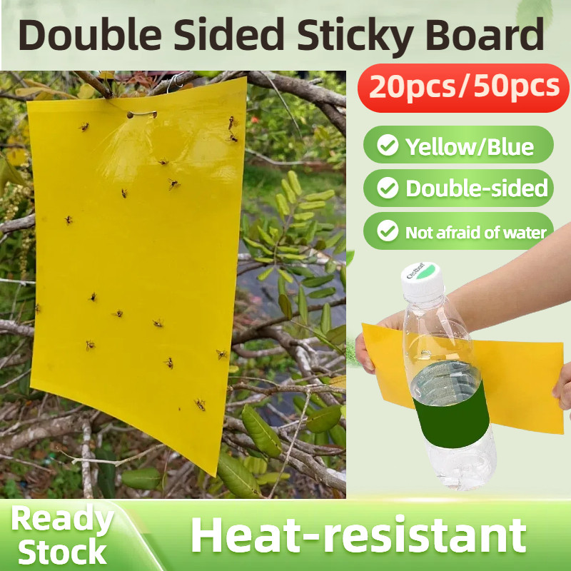 Flies Trap Double Sided Sticky Board Insect Fruit Fly Trap Pelekat ...