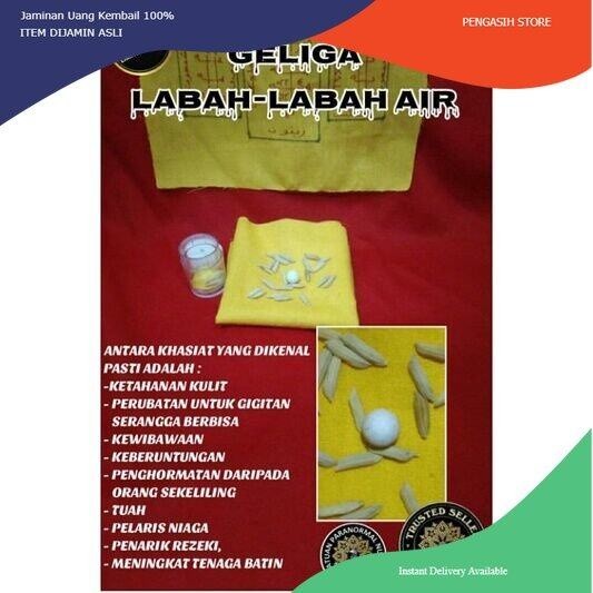 P•S🔥PERMATA Labah-Labah Air ASLI‼️ (Jenis Kecil) | Shopee Malaysia