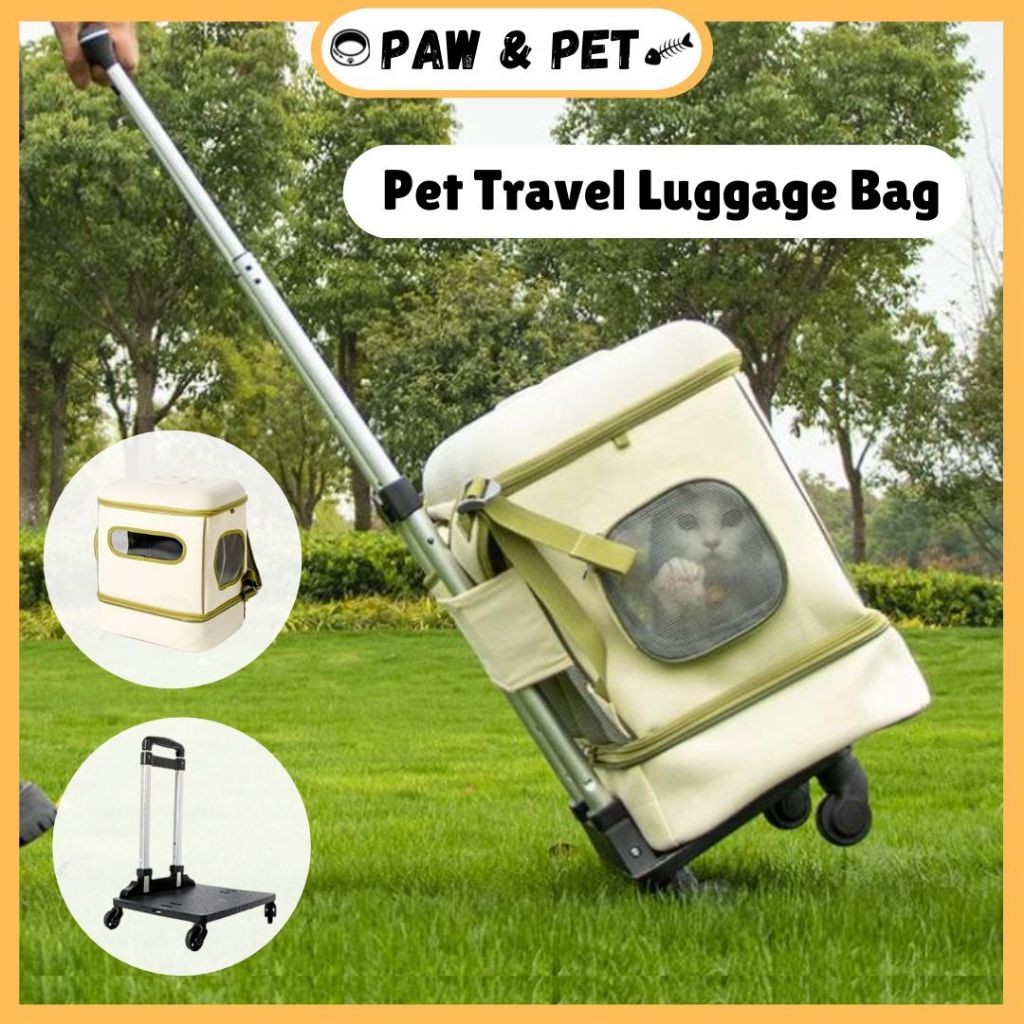 Cat trolley troli kucing Pet Travel Luggage Pet Trolley Case Foldable ...