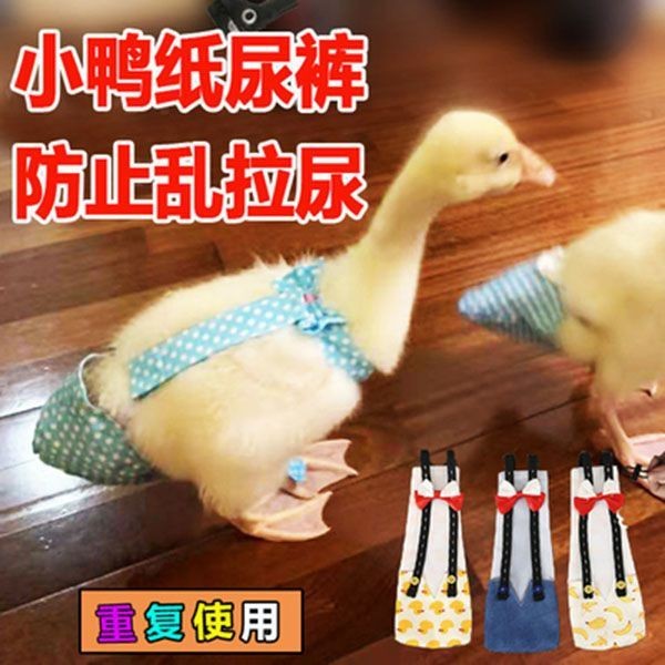 Cole Duck Diapers Shit Pockets Ducklings Wear Diapers Prevent Pulling ...
