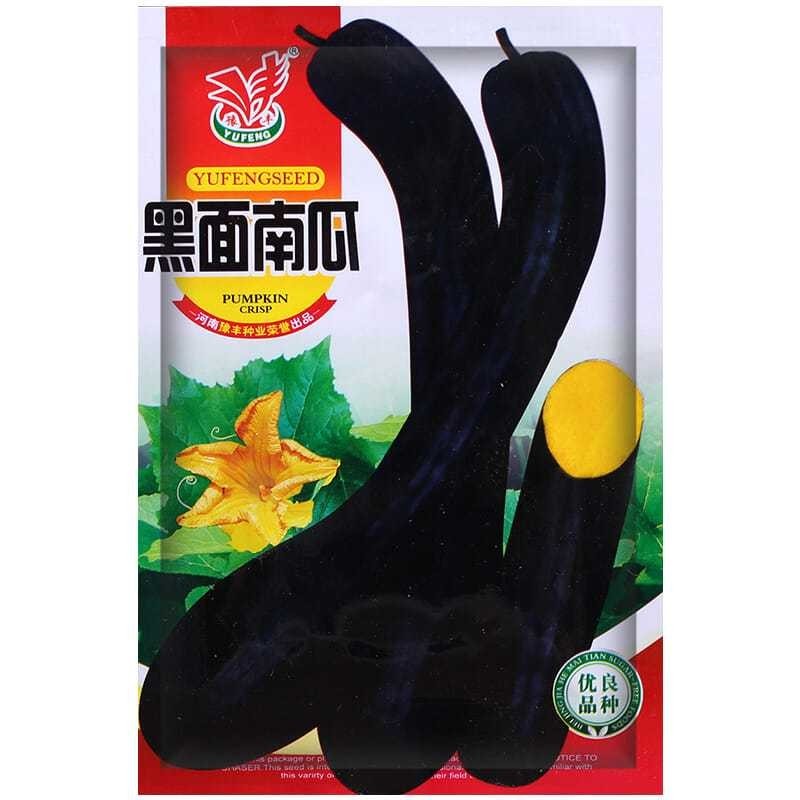 Biji Labu Serigala Hitam Manis Biji Labu Berwajah Hitam Empat Musim ...