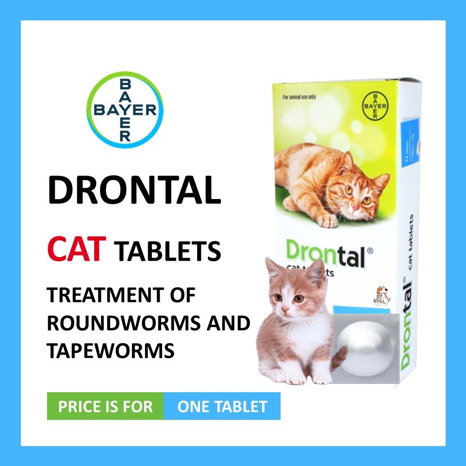Drontal Cat Deworm 1 Tablet (Prevention Roundworm & Tapeworm) Ubat ...