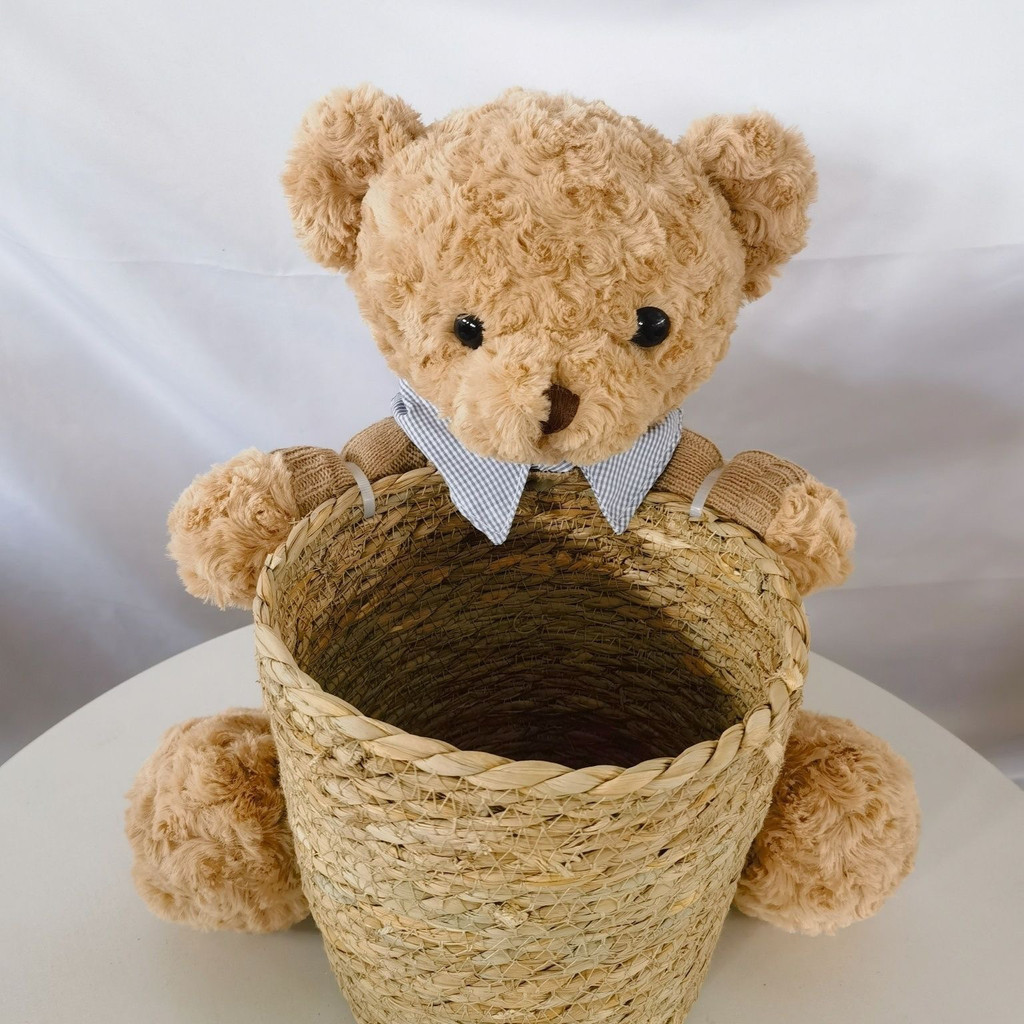 Topi Hari Lahir Teddy Bear Selebriti Internet Chestnut Pelukan Baldi ...
