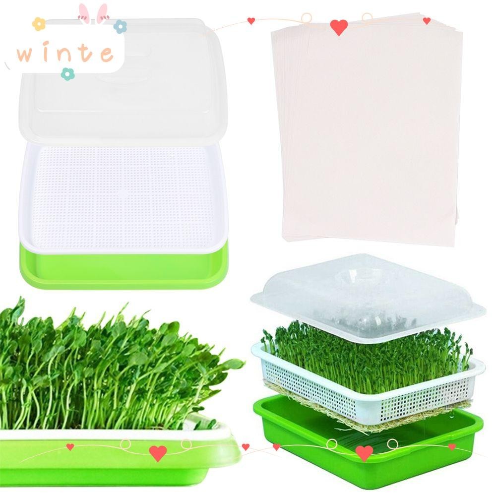 WINTE Sprouter Tray Outdoor Indoor Hydroponic Tray Soilless Cultivation ...