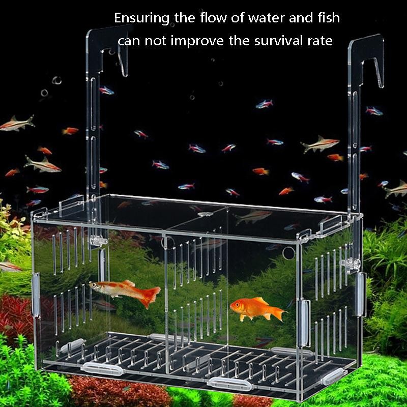 [rangevoyage2] Fish Tank Small Fry Breeding Box Clear Acrylic Fish ...