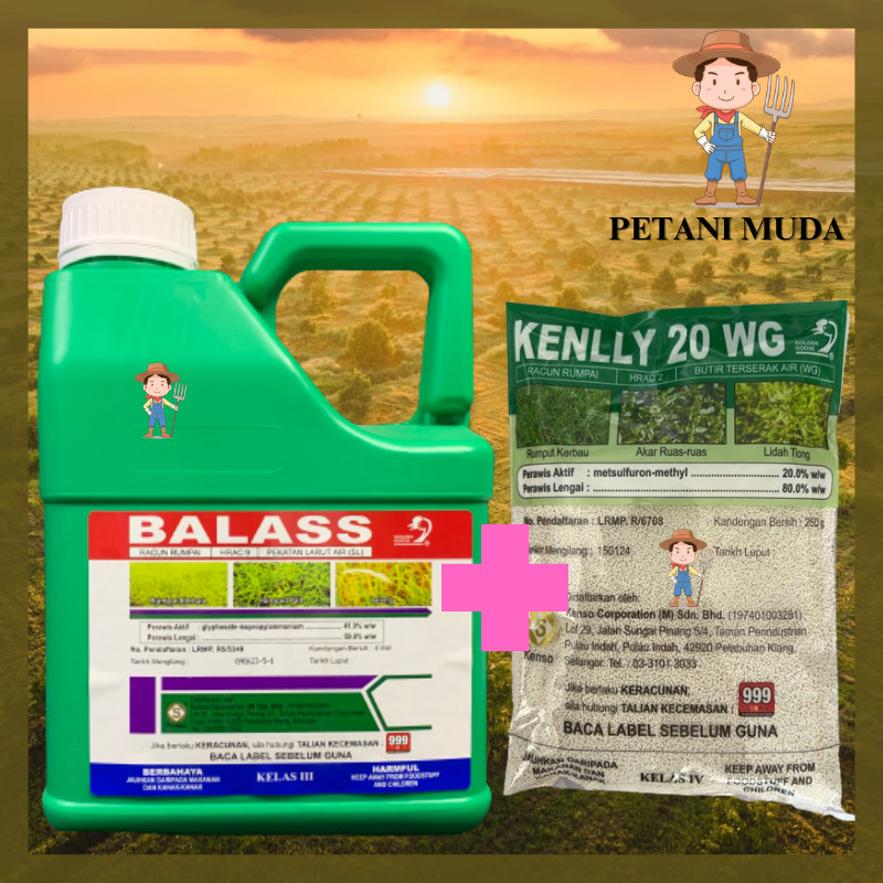 4L BALASS + 250G KENLLY 20WG (1 SET PACKAGE) RACUN RUMPUT KEMATIAN ...