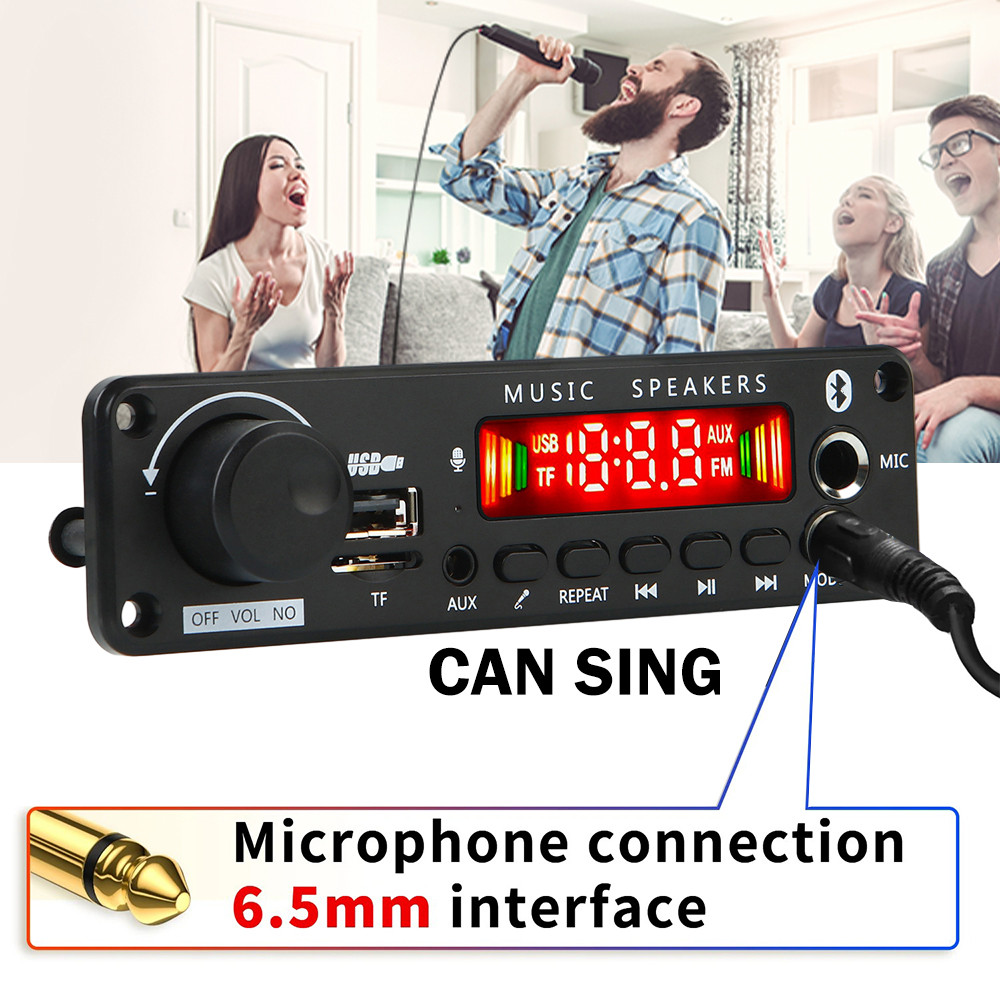 Pcbfun Amplifier Decoder Board with Microphone Bt FM Decoder with ...