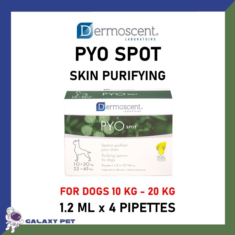 Dermoscent PYO Spot On for dog 10-20 KG with skin infection (1.2 ML x 4 ...