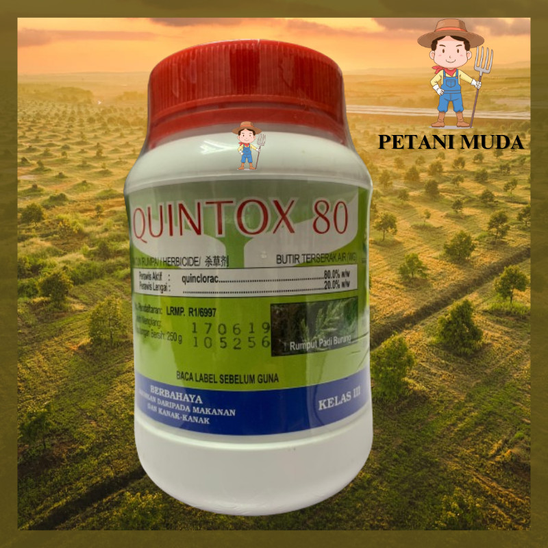 [ORIGINAL] 250G QUINTOX 80 Farmcochen / Herbicide / RACUN RUMPAI/RACUN ...