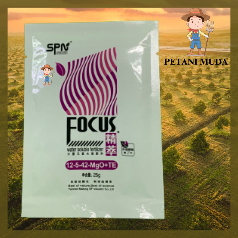 [ORIGINAL] 25gram Baja Focus 12-5-42-MgO+TE High K NPK / Water Soluble ...