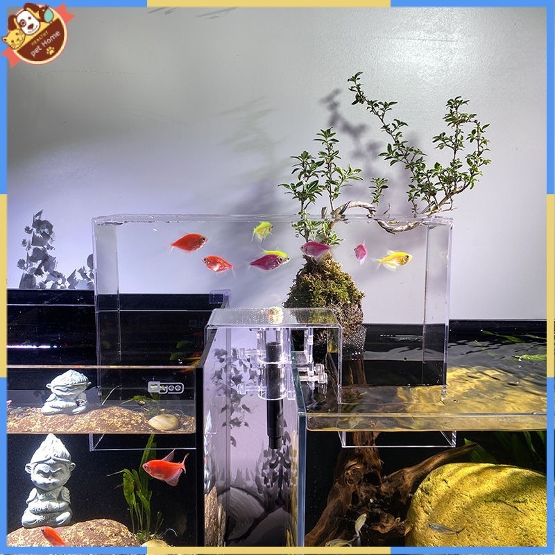 Negative Pressure Fish Tank Bracket Ecological Tank Landscaping ...