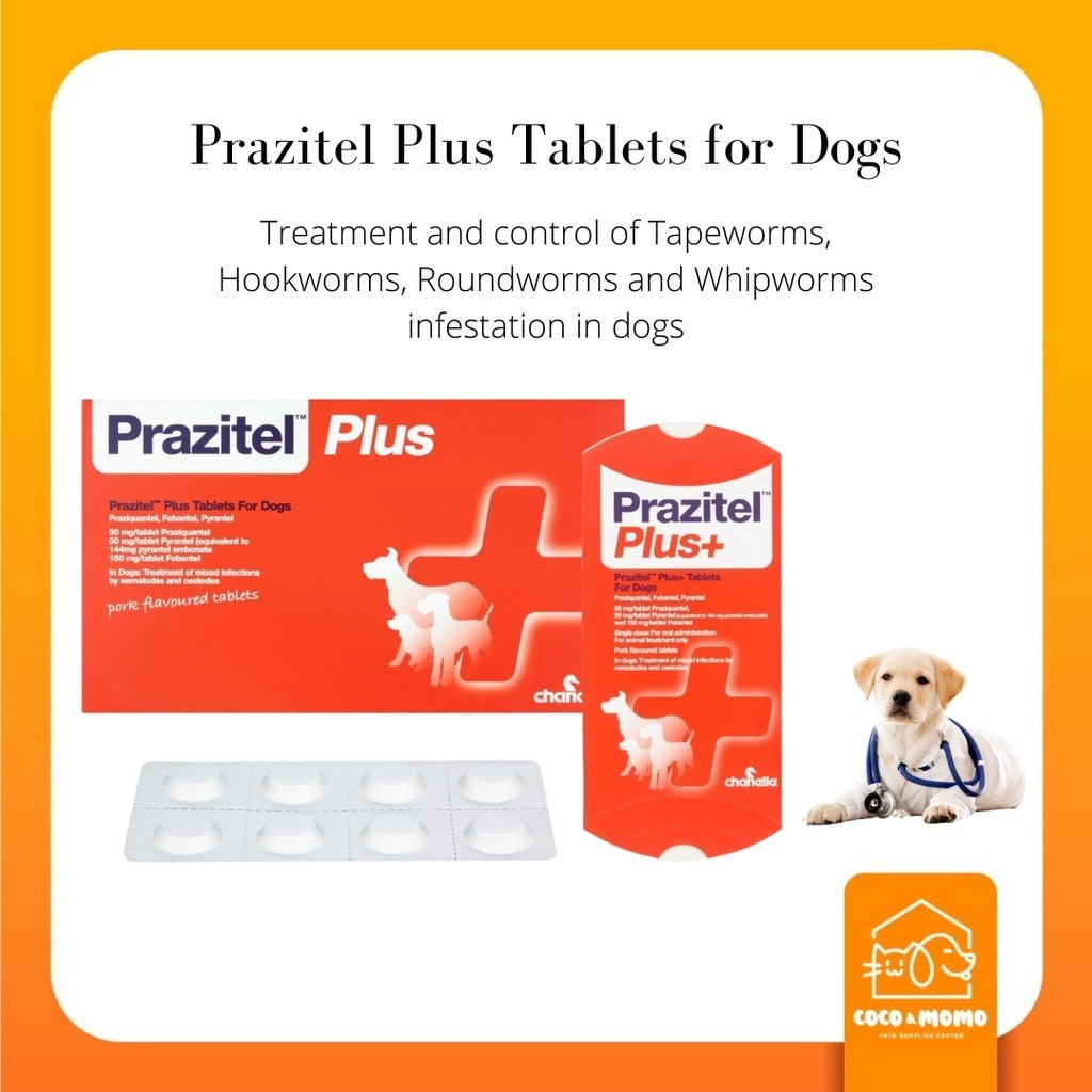 Prazitel Plus Deworm Tablets For Dogs And Puppies Tablets / Deworm ...