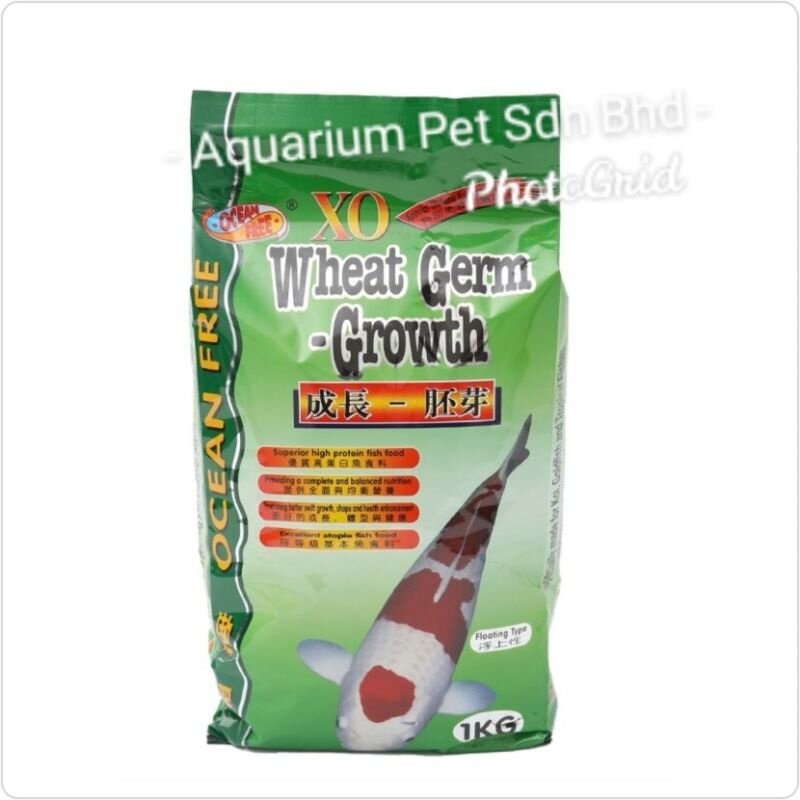 Ocean Free Wheat Germ Growth Mini/Large Koi Food 1kg (Floating Type ...