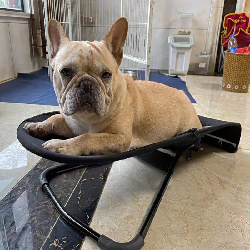 Pet Rocking Chair Dog Cat Rocking Chair Adjustable Pet Bed Foldable ...