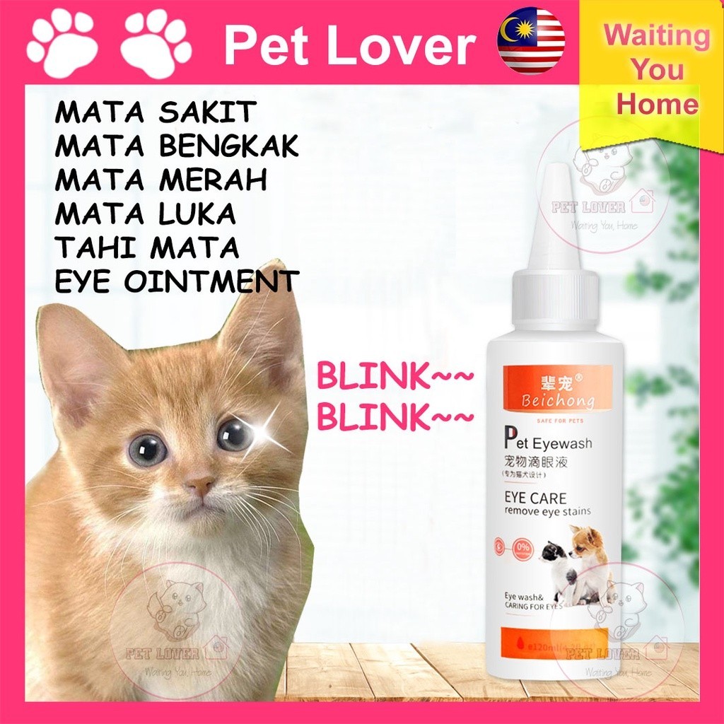 CATEYE Ubat Titis Mata Anak Kucing Ubat Sakit Mata untuk Kucing Luka ...