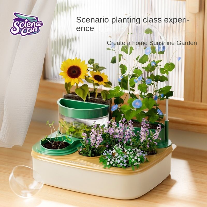 Science Canned Sun Room Planting Children Plant Growth Observation Box ...