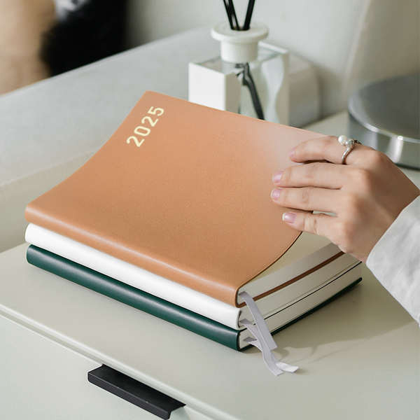 planner book 2025 planner 2025 Schedule Notebook One Page a Day ...