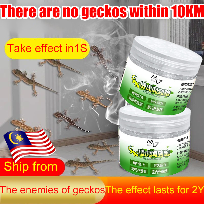 Last for 100 years Lizard repellent Effective Gecko repellent Large ...