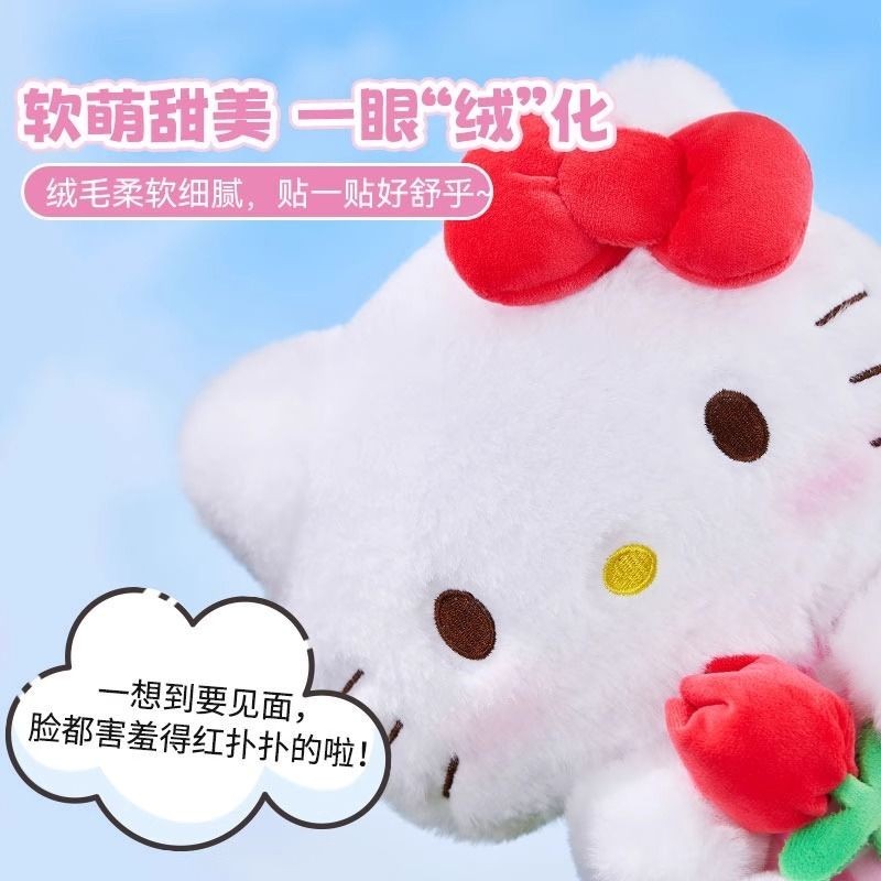 Miniso MINISO MINISO Sanrio Bouquet Gift Sitting Doll Cartoon Plush ...