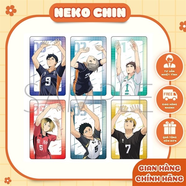 [SLEEVES Included] Haikyuu ver Setter Character Holo Card - Haikyuu ...