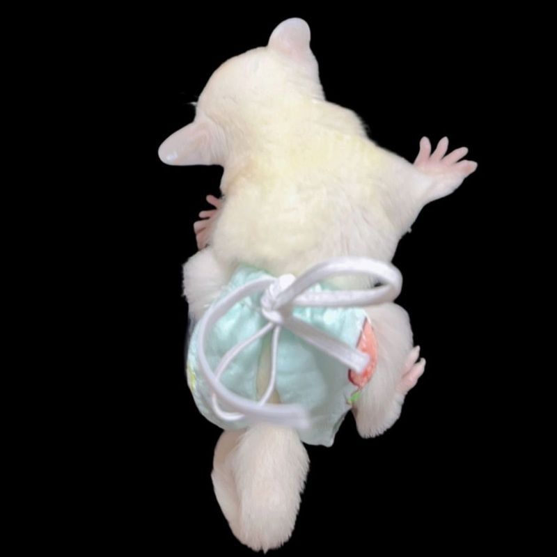 Honey Glider Diapers Can Be Washed Repeatedly Used Honey Glider Diapers ...