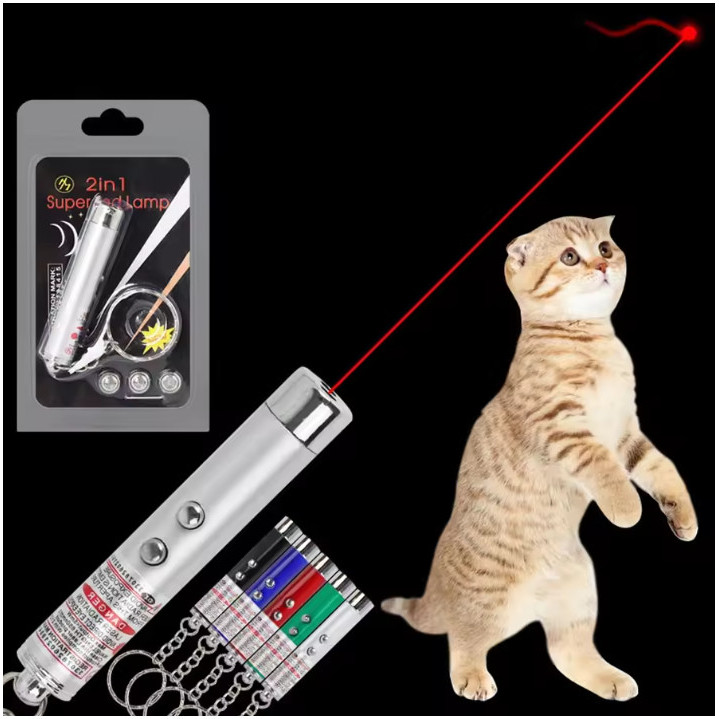 2 in 1 Mini Laser Pointer & LED Flashlight | Keychain Torch light Dual ...