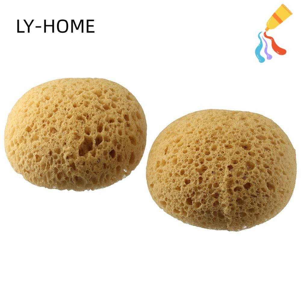 LY-HOME Texture Sponge, Washable Beige Drywall Wall, House Flipper ...