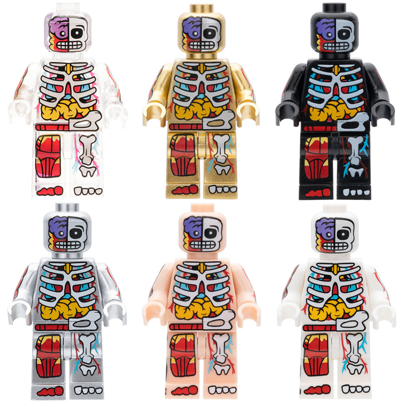 Domestic original excitement horror transparent human anatomy bone ...