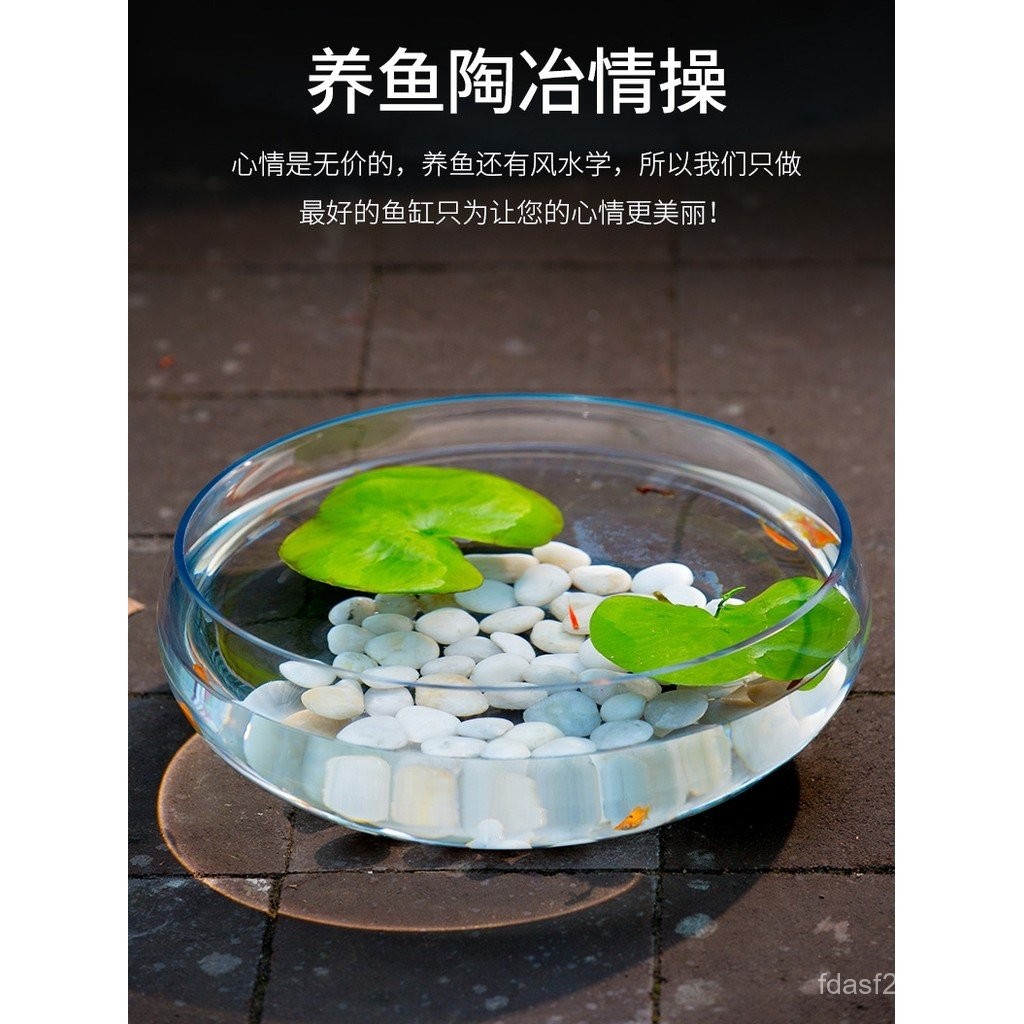 Aiyuebao Extra Large Lotus Tank Water Lily Tank Glass Fish Tank ...