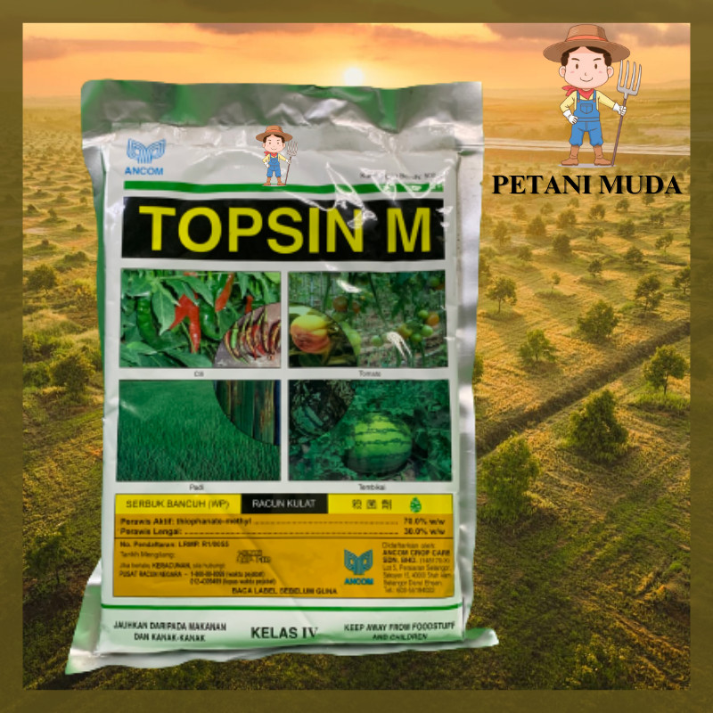 [ORIGINAL] 500g Topsin M ANCOM Thiophanate-methyl 70% Racun Kulat ...