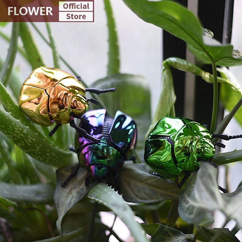 FOF 1 Piece Scarab Beetle Children's Plastic Animals Toy Wind Up Beetle ...