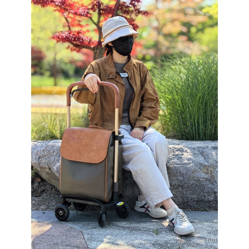 Step Ding Fufu Japanese-Style Elderly Trolley One-Hand Brake Walking ...