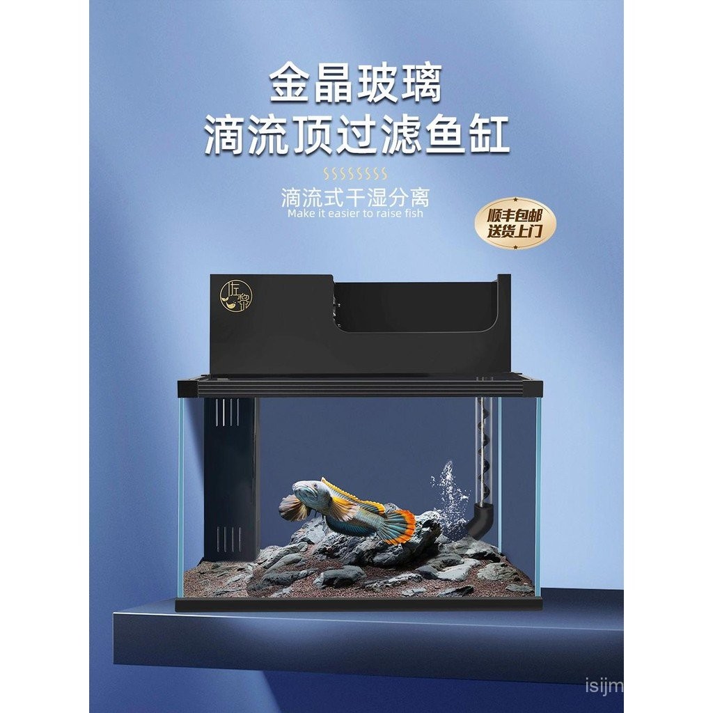 Upper Filter Fish Tank Ultra White Glass Top Filter Living Room Small ...